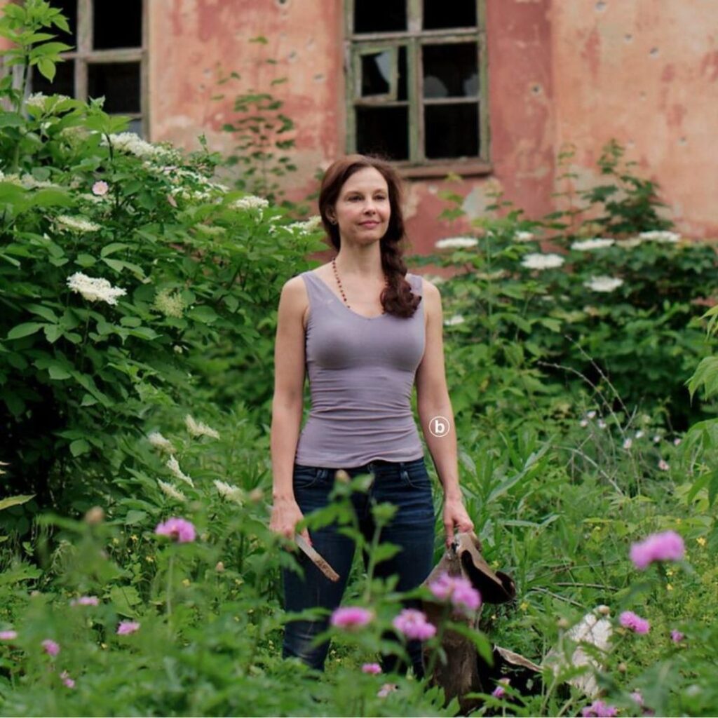 The Shocking Revelation of Ashley Judd Weight Gain And Speculations ...